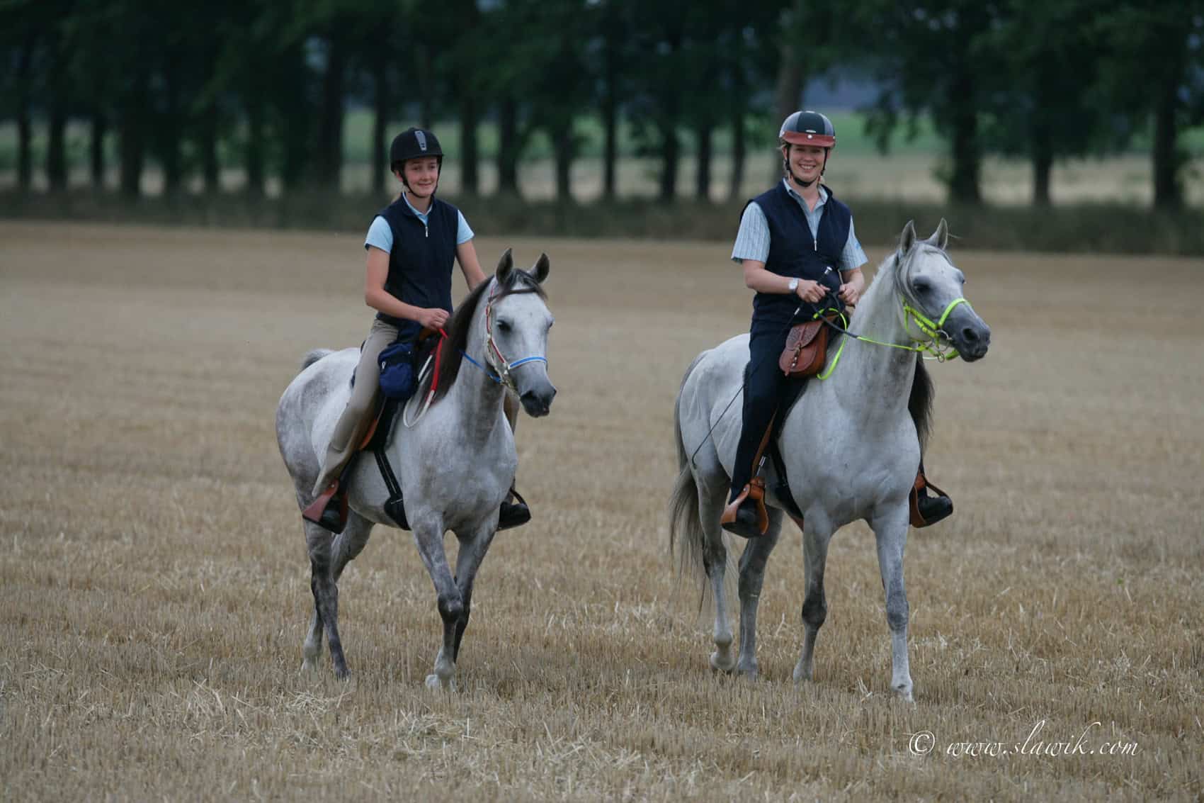 Unsere gerittenen Pferde • CaFra Arabians